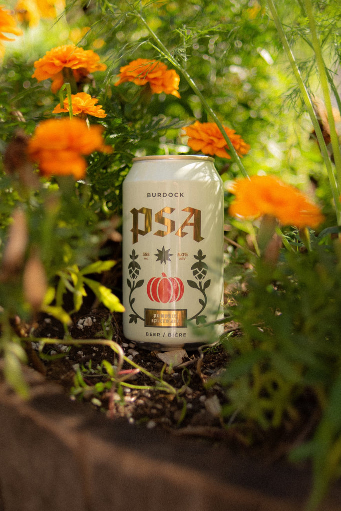 Burdock - Pumpkin Spiced Ale 355ml – Dominion City Brewing Co.